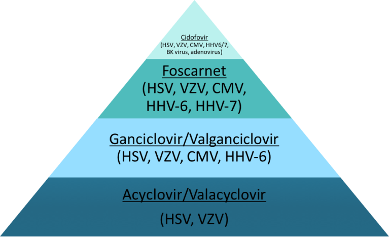 Antimicrobials: spectrum of activity | FOAMid