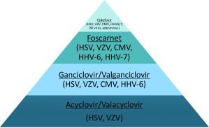Antimicrobials: spectrum of activity | FOAMid