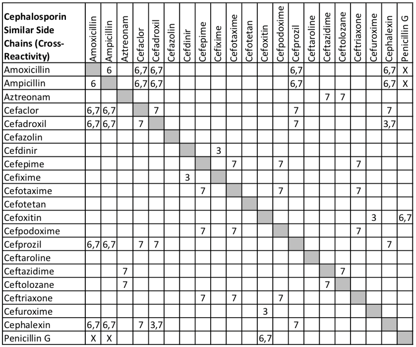 A Rash of Beta-Lactam Allergies, Part 2: The Education | FOAMid